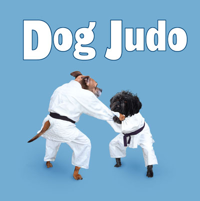 Dog Judo | Listen to Podcasts On Demand Free | TuneIn