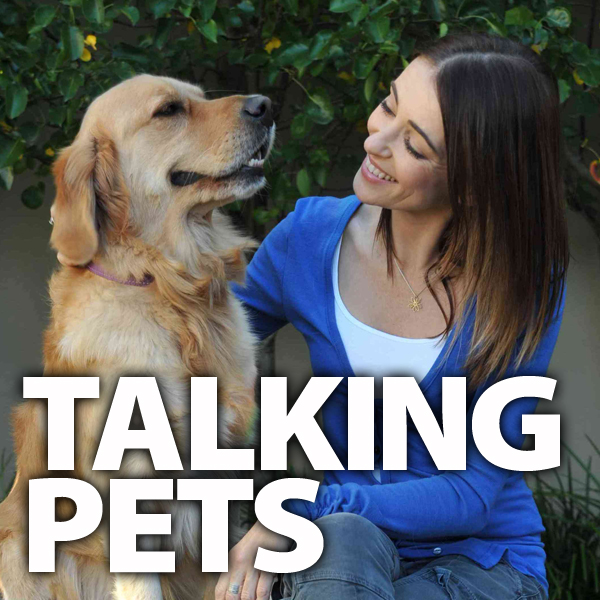 Talking Pets | Free Internet Radio | TuneIn