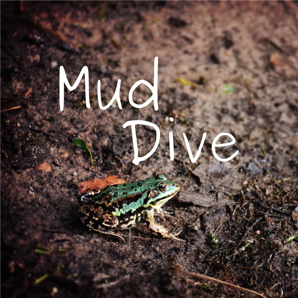 Mud dive | Listen to Podcasts On Demand Free | TuneIn