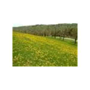 sadhu sunder sing Punjabi Fm | Free Internet Radio | TuneIn