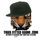 Tiger Fitted Radio - Detroit - - NET